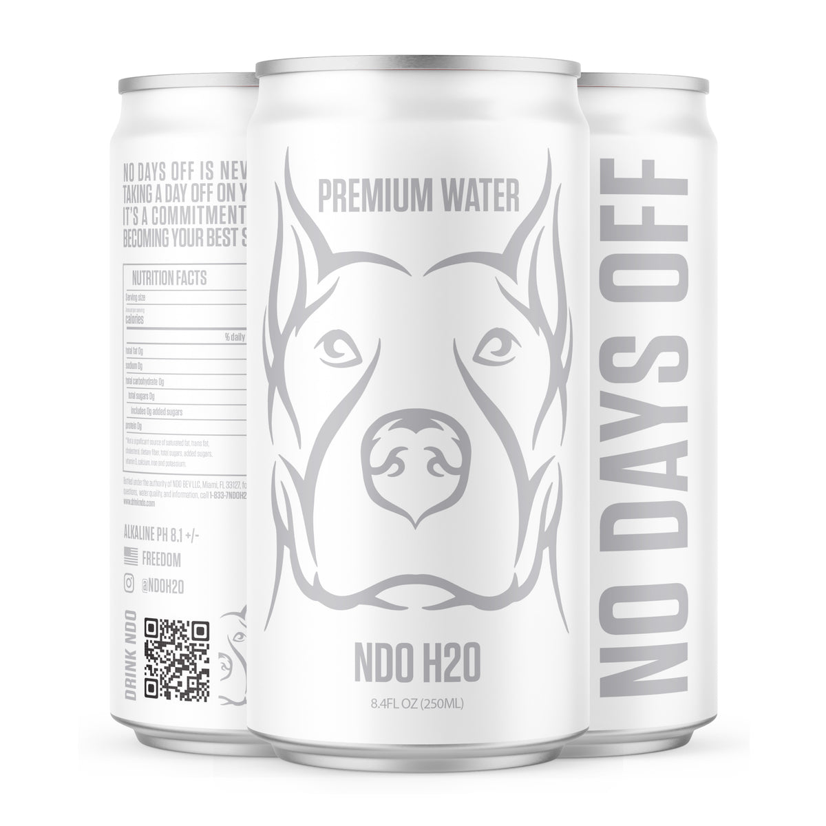 NO DAYS OFF Premium Water 24 Pack 8.4oz Cans | NDO H2O